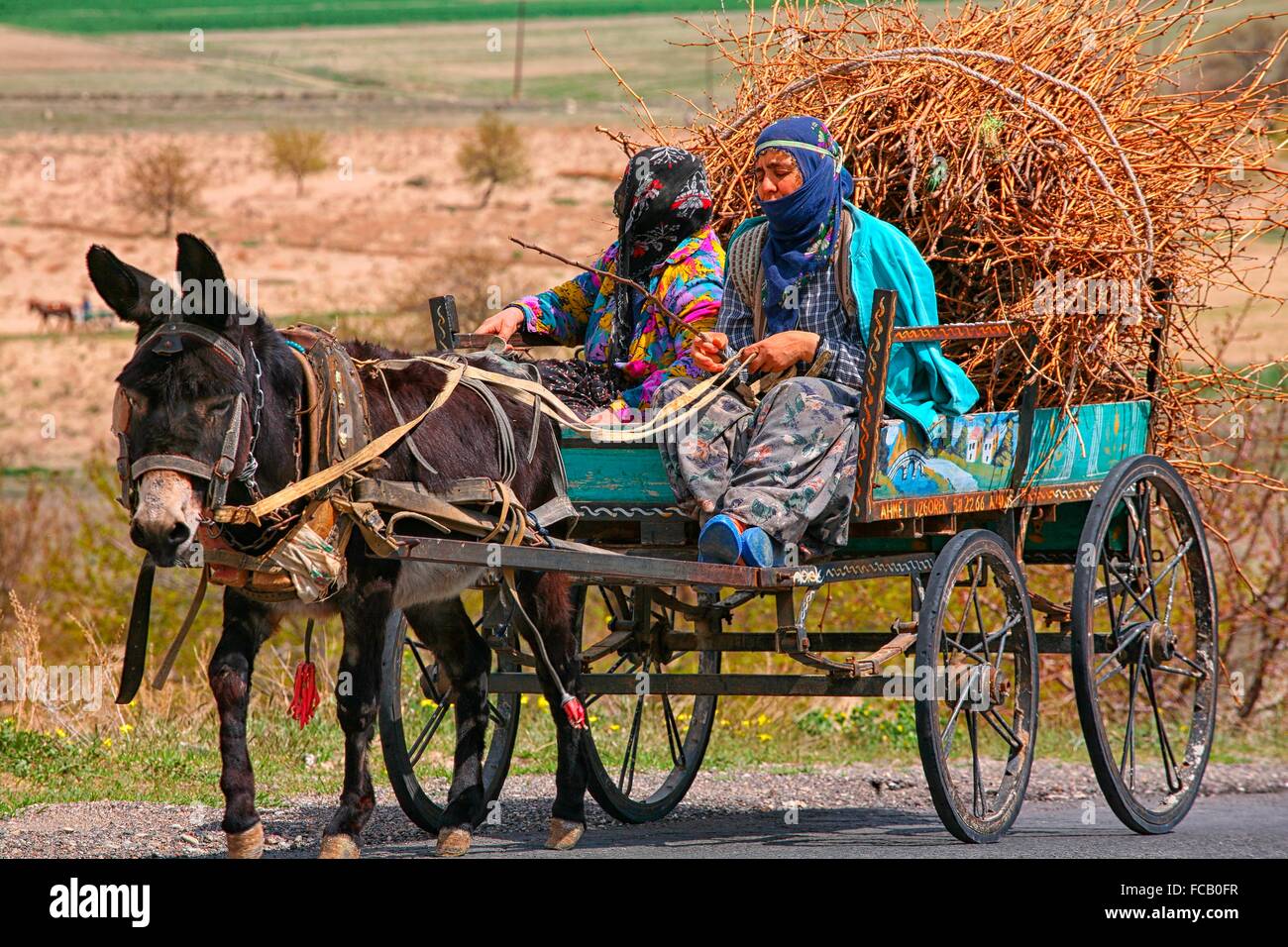 Women carrying firewood in a chariot pulled by two donkeys. Goreme ...