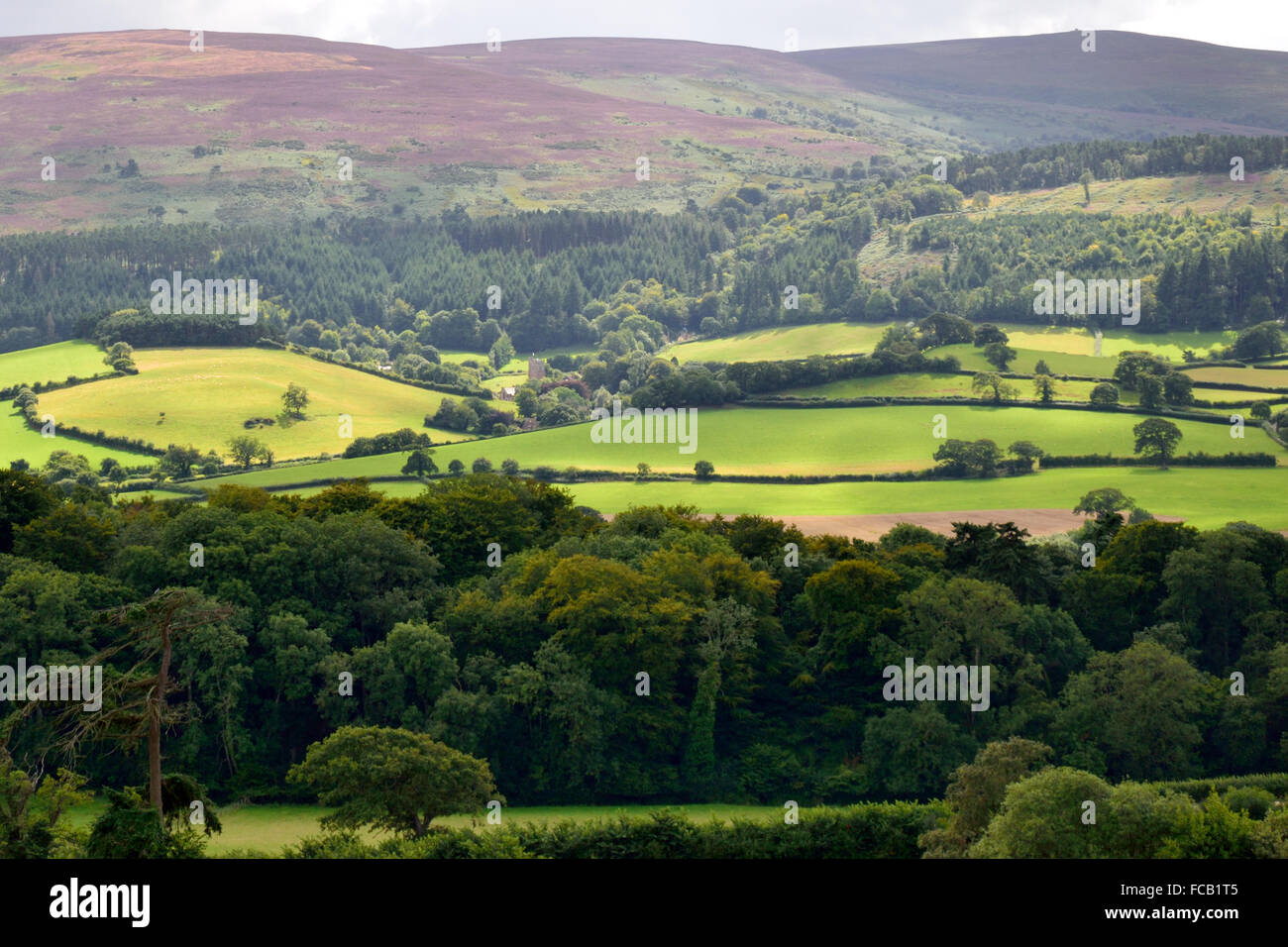 Luccombe hi-res stock photography and images - Alamy