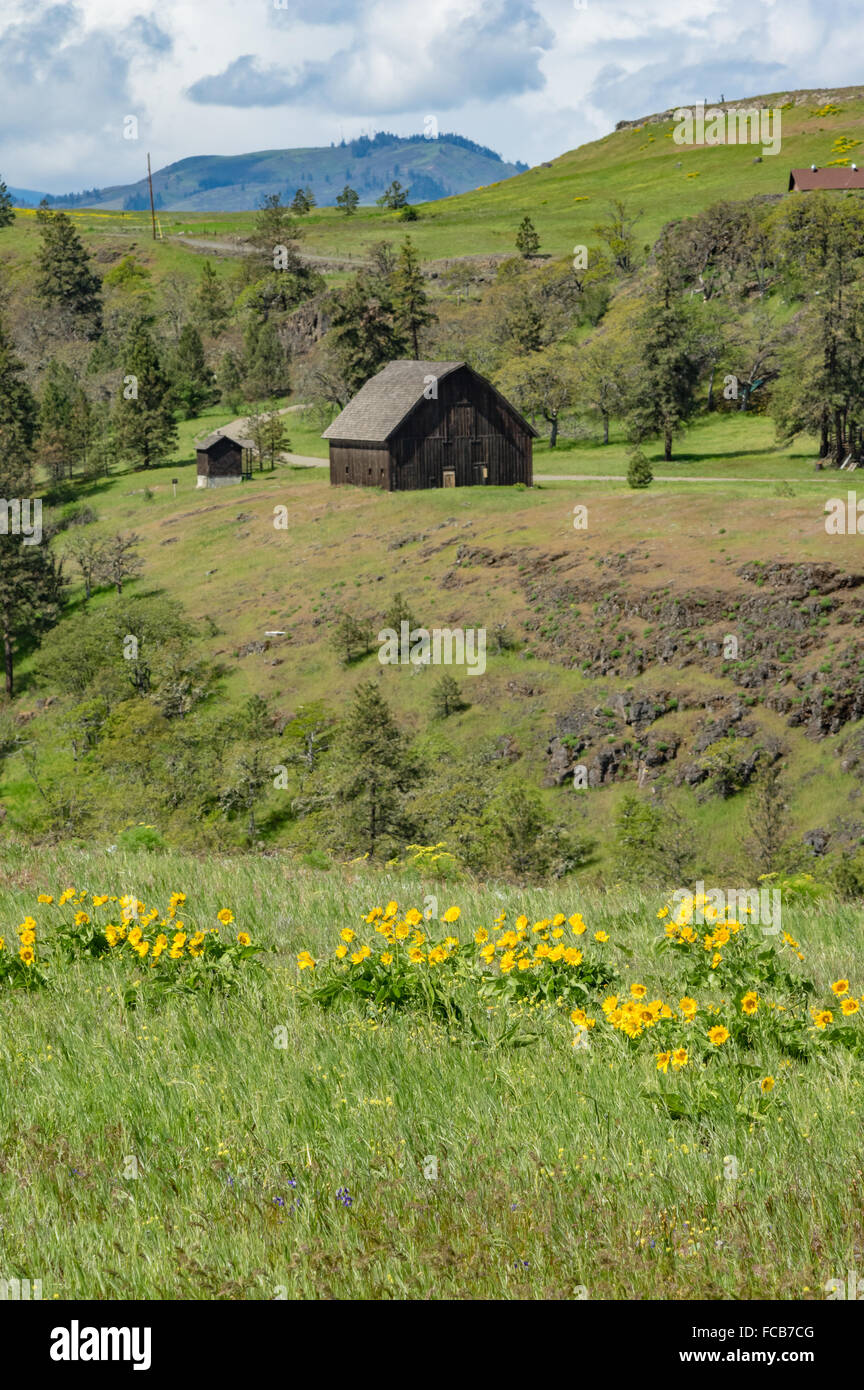 Small wooden barn hi-res stock photography and images - Alamy