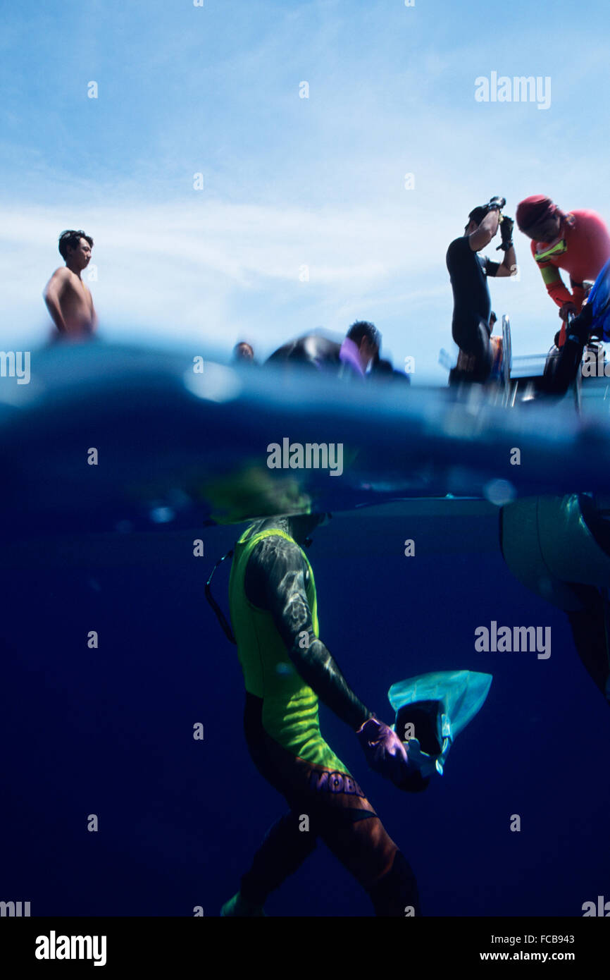 Republic of Palau, Live a board scuba dive operation Stock Photo - Alamy