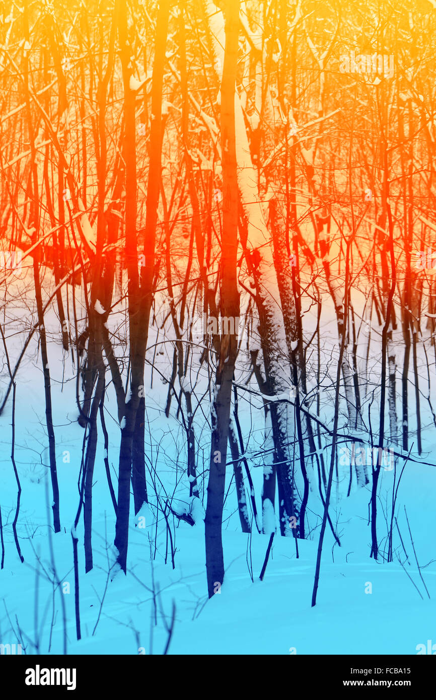 Beautiful sunrise view in snowy hi-res stock photography and images - Alamy