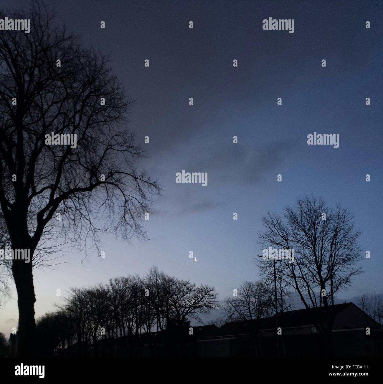 Crescent Moon Tree Silhouette Stock Photos & Crescent Moon Tree ...