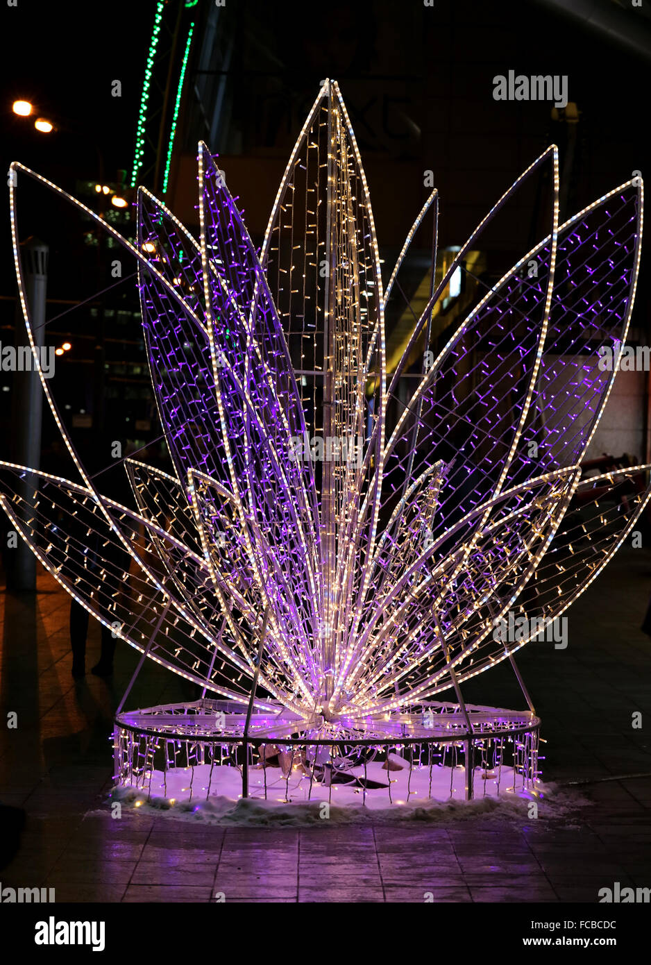 Beautiful burning lights in the dark flower photographed close up Stock ...