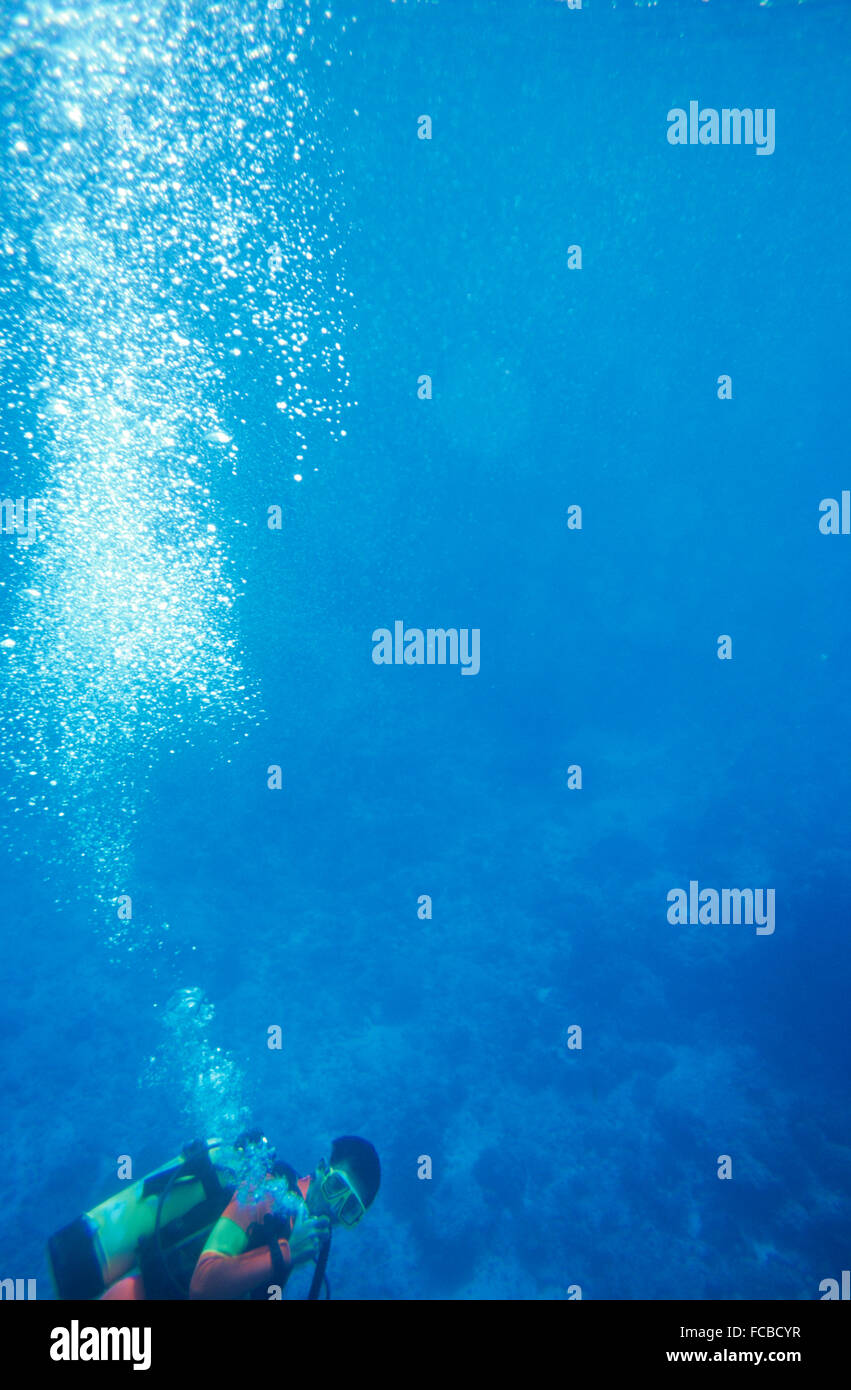 Republic of Palau, Live aboard scuba dive operation, diver's air ...