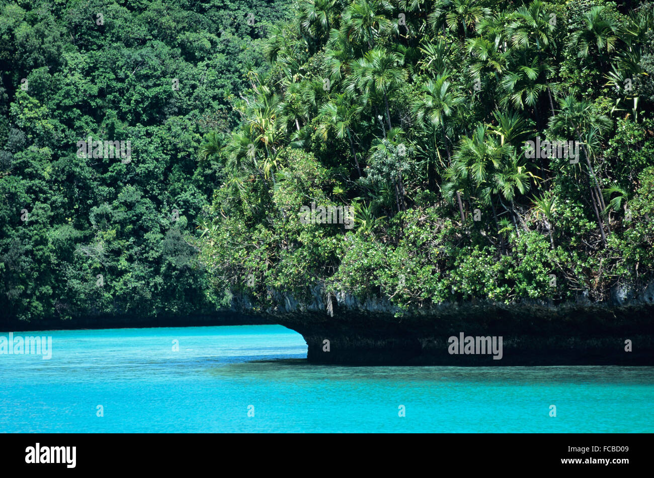 Ocean and island views of Palau Islands Stock Photo - Alamy