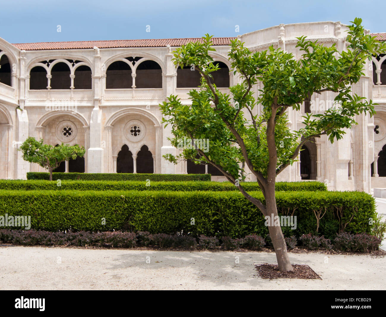 Tree in the courtyard hi-res stock photography and images - Alamy