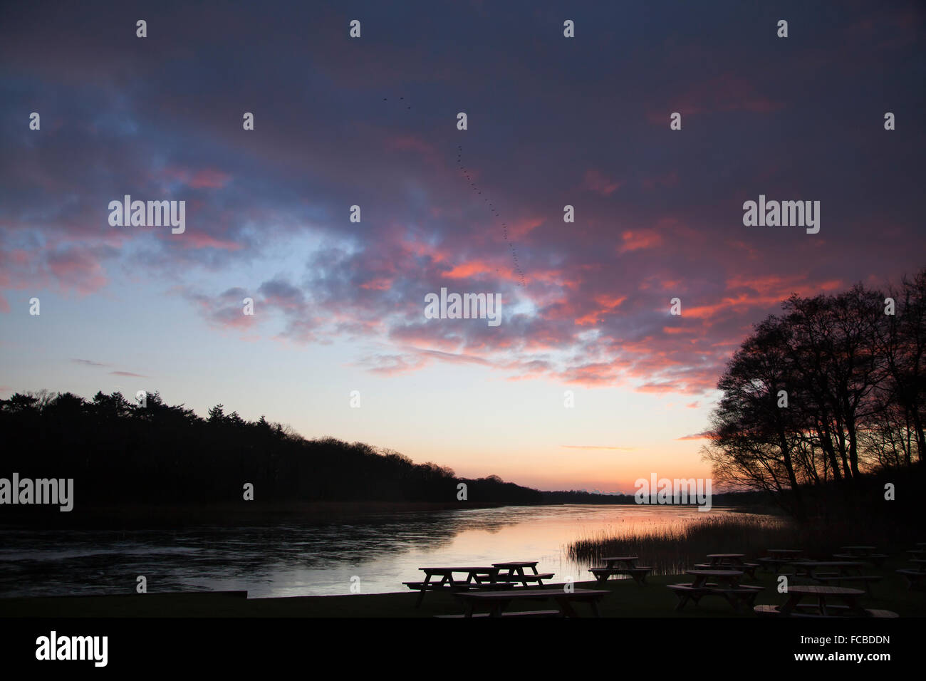 Ormesby little broad hi-res stock photography and images - Alamy