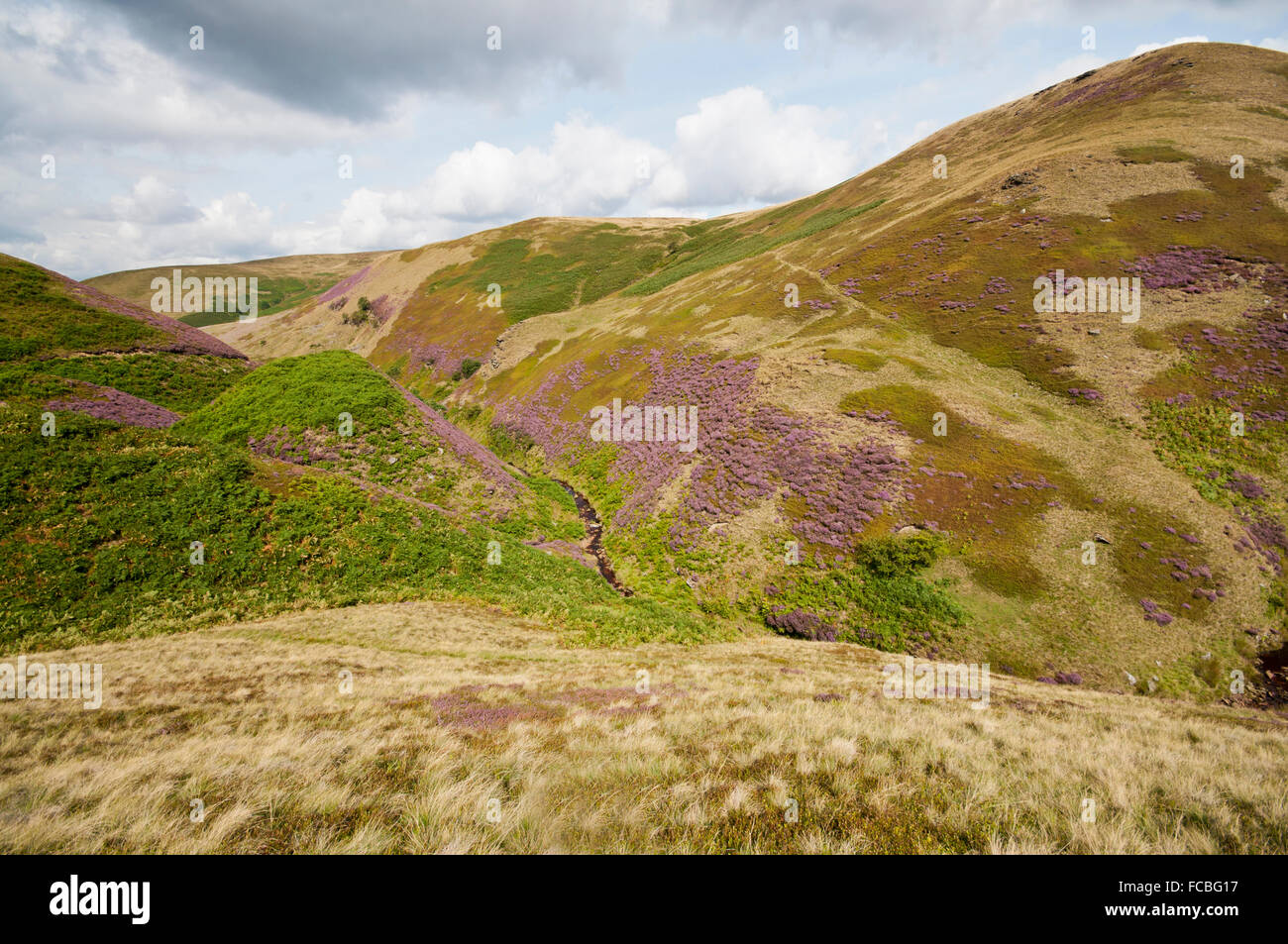 The Howden Moors in the upper reaches of the Derwent Valley in the Peak ...