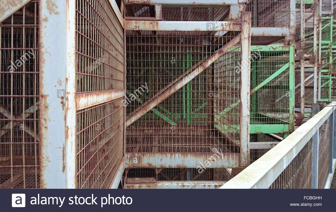 Empty Bird Cage Stock Photos & Empty Bird Cage Stock Images - Alamy