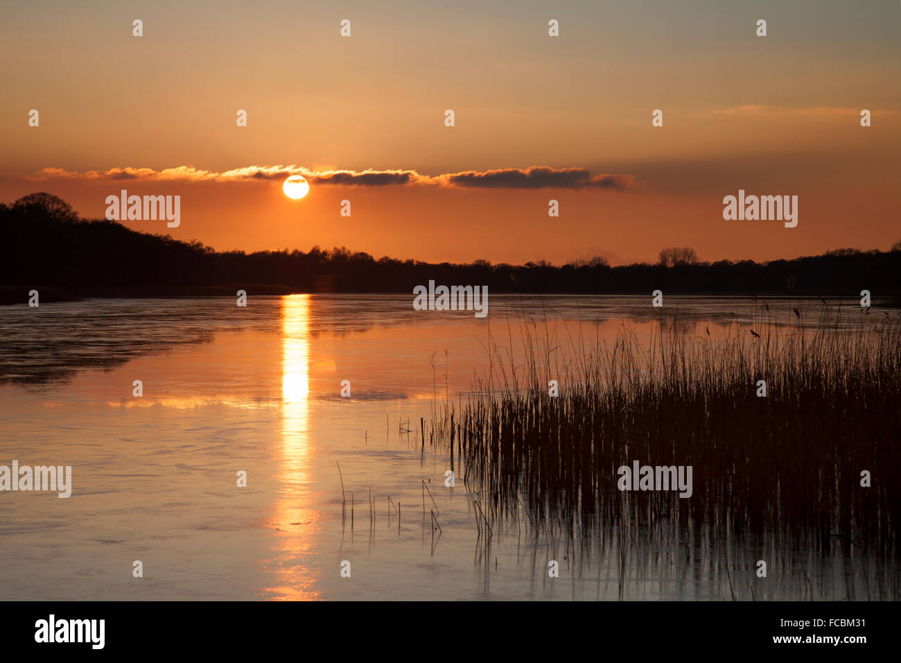 Ormesby little broad hi-res stock photography and images - Alamy