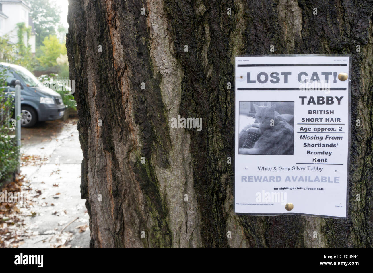 Lost cat reward poster hi-res stock photography and images - Alamy