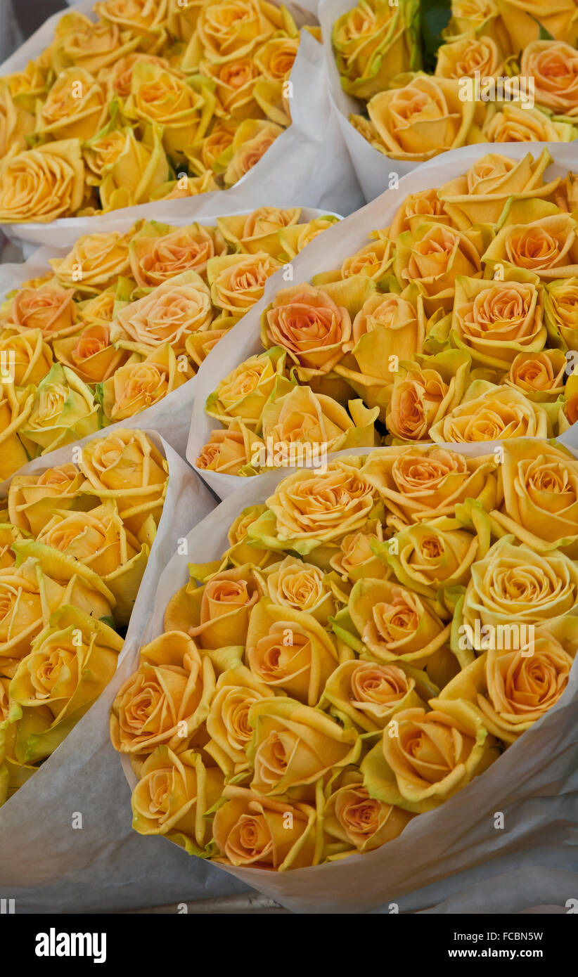 Display of yellow roses in Columbia Road flower market, London Stock ...