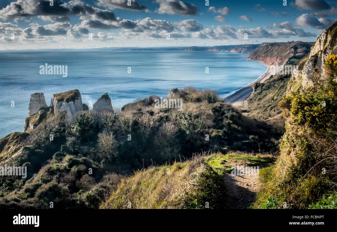 East coast path hi-res stock photography and images - Alamy