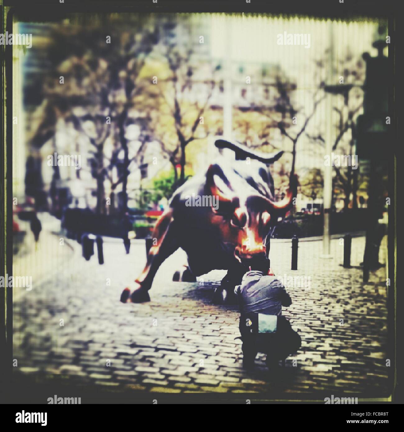 Animal rear view hi-res stock photography and images - Alamy