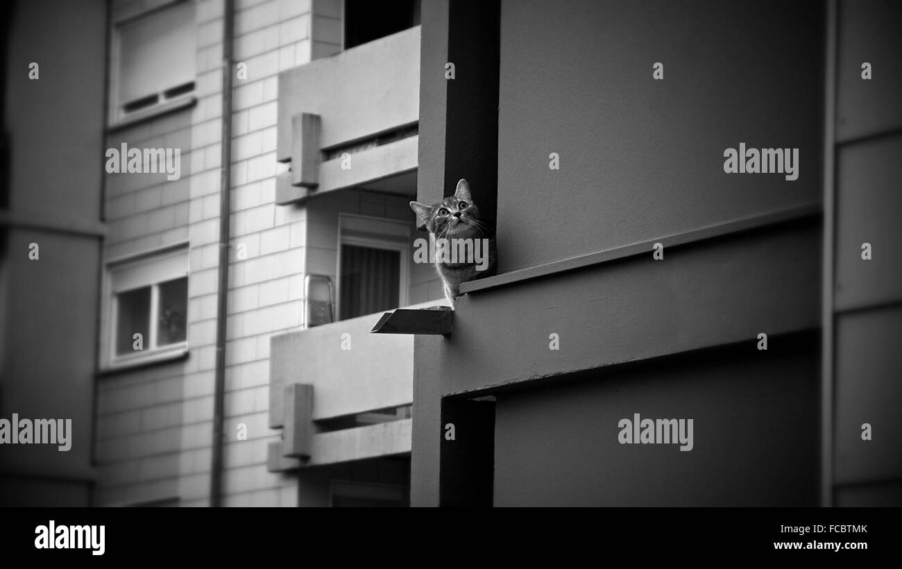 Building Gap High Resolution Stock Photography and Images - Alamy