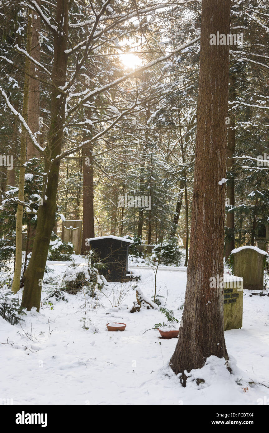 Munich forest cemetery hi-res stock photography and images - Alamy