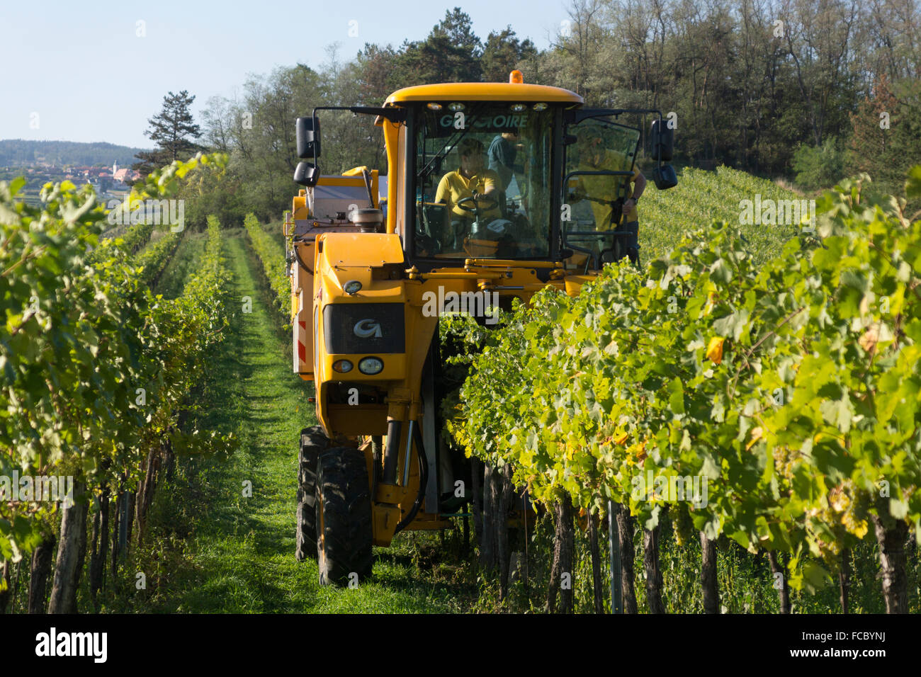 Lesemaschine hi-res stock photography and images - Alamy