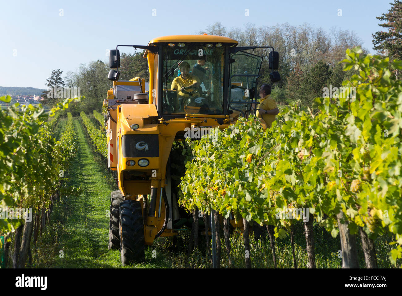 Mechanical grape harvester hi-res stock photography and images - Alamy