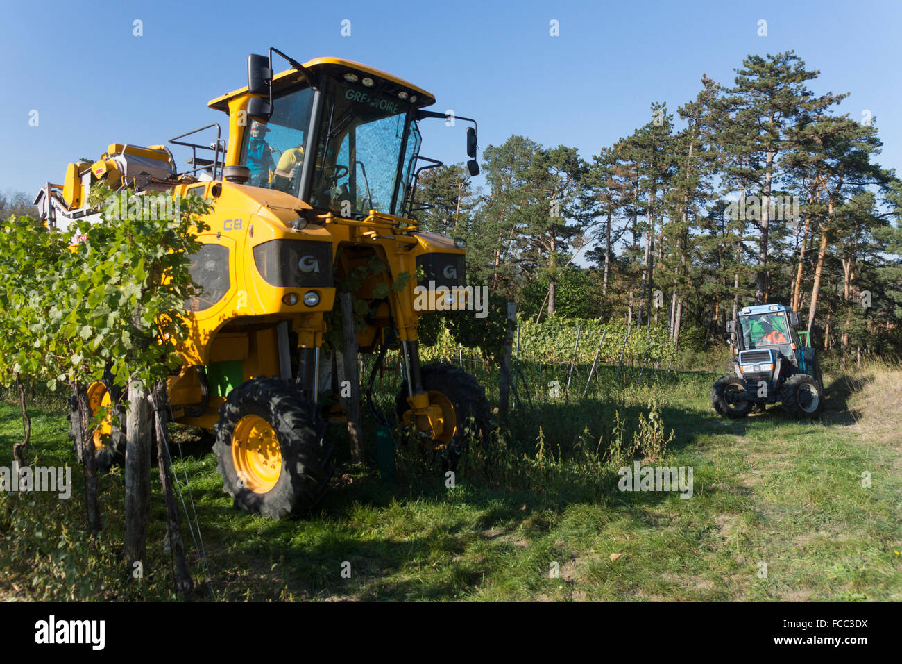 Grape tractor hi-res stock photography and images - Alamy