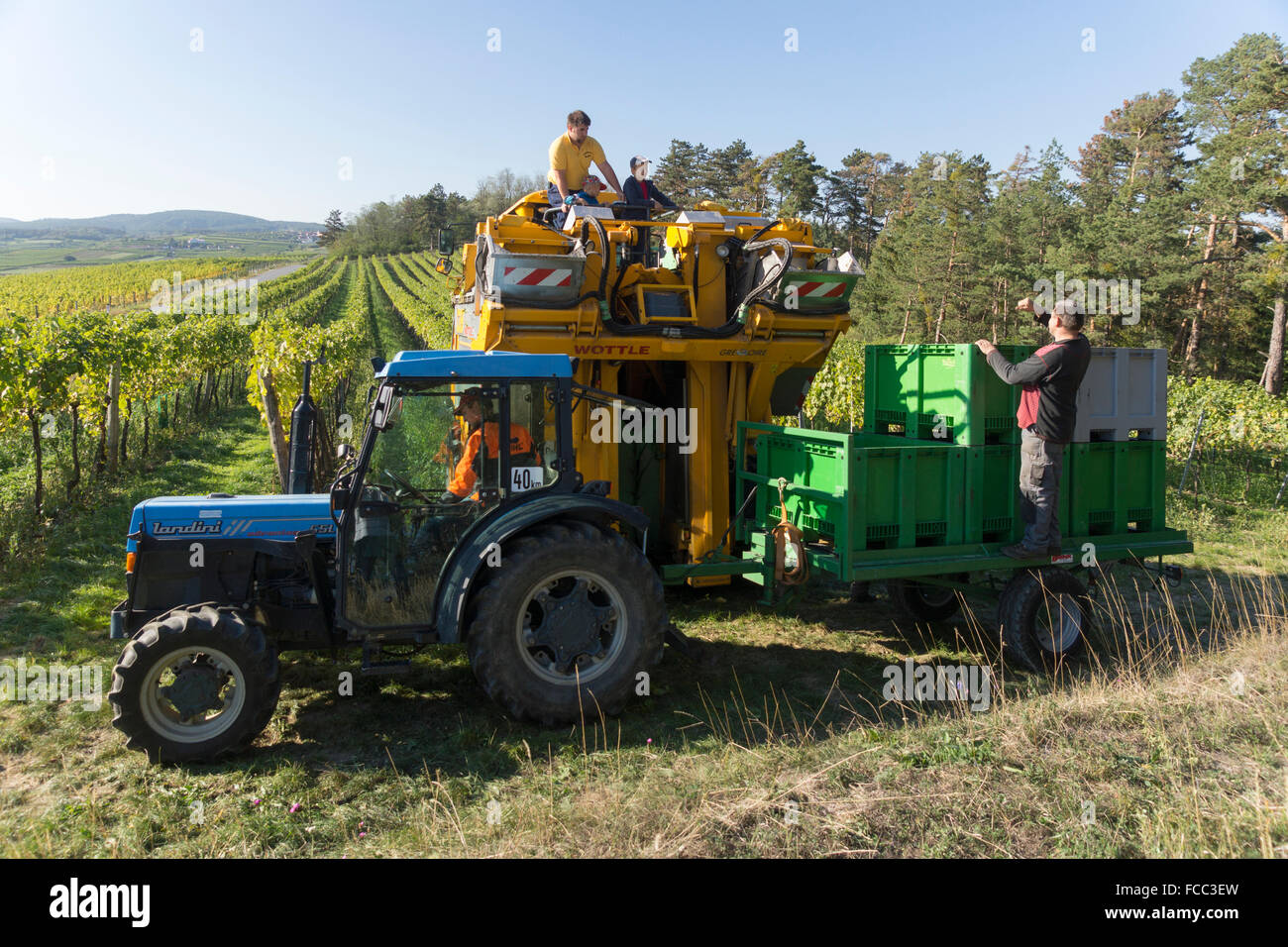 Wine harvester hi-res stock photography and images - Alamy