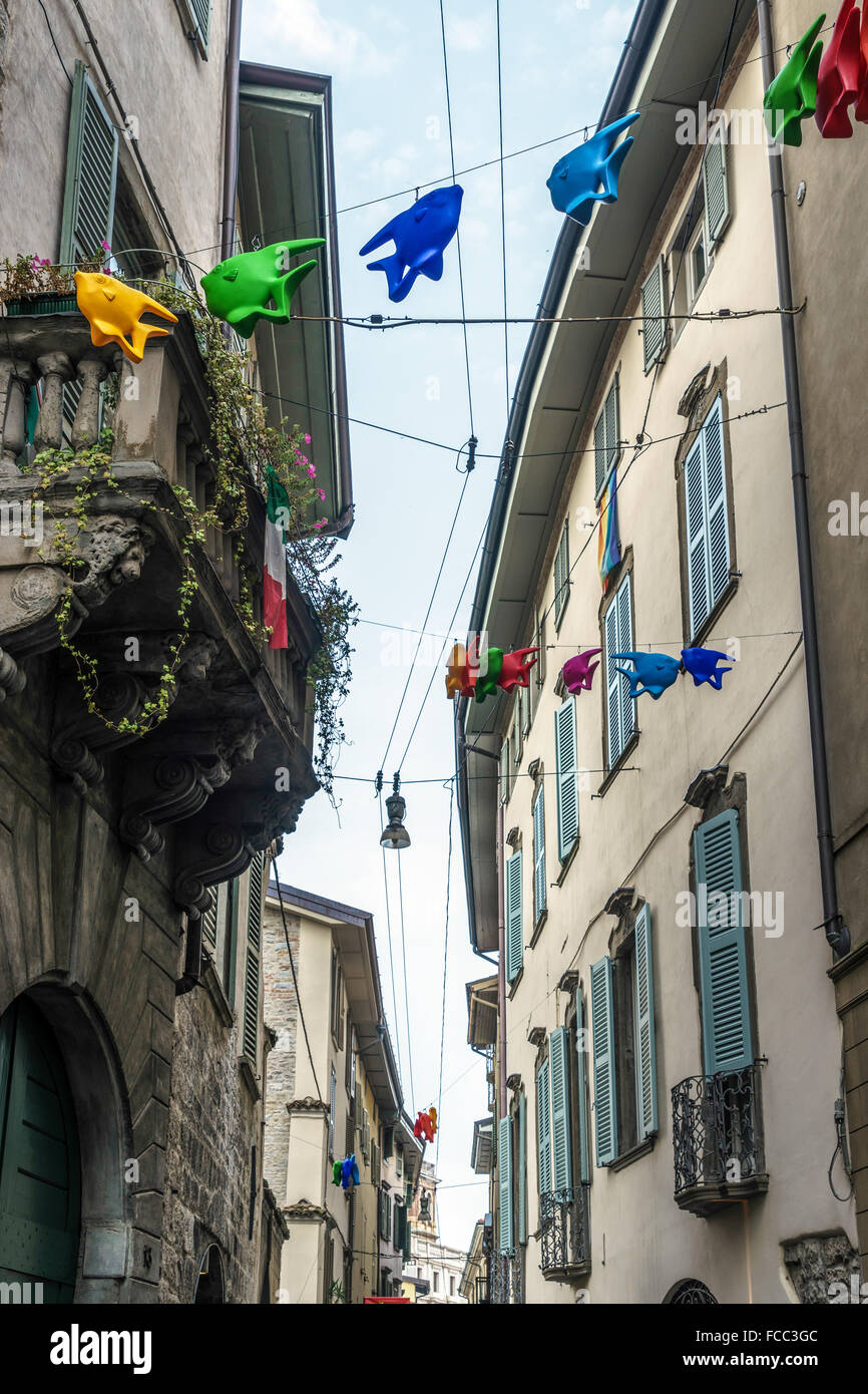 Flying fish across a street in Citta Alta Bergamo Stock Photo - Alamy