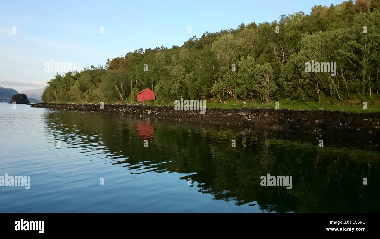 Trees Growing At Lakeshore Stock Photo - Alamy