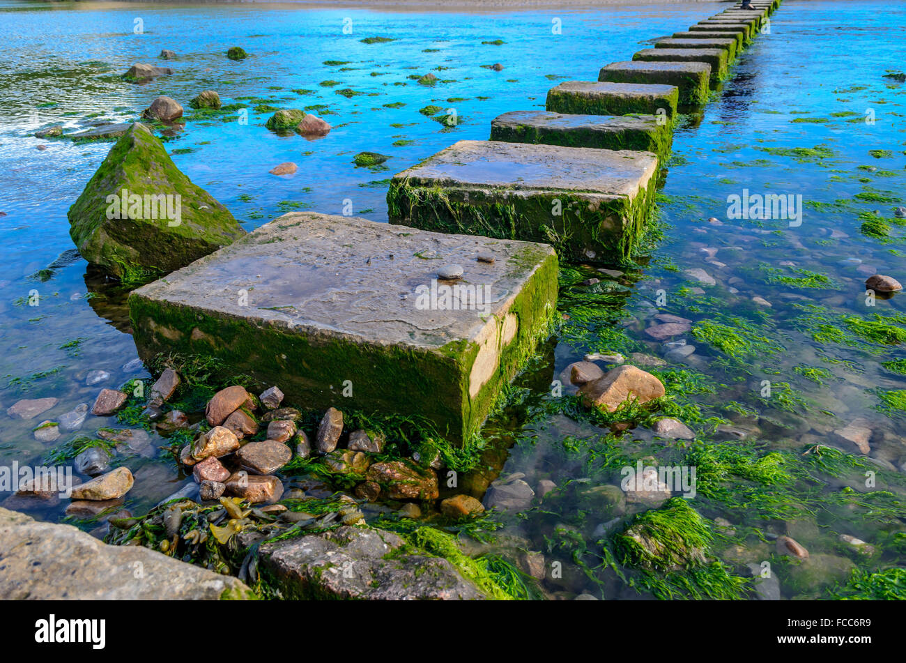 Its stepping stones hi-res stock photography and images - Alamy