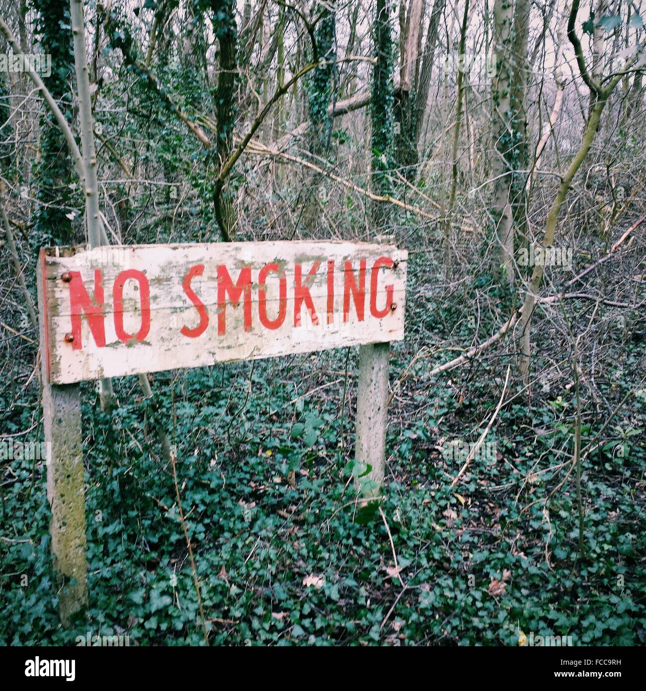 No Smoking Tree High Resolution Stock Photography and Images - Alamy