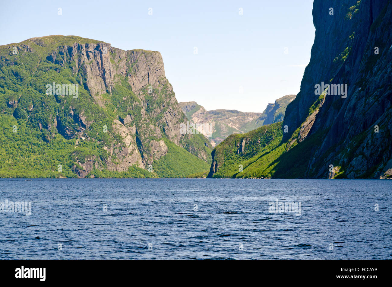 Newfoundland Stock Photos & Newfoundland Stock Images - Alamy