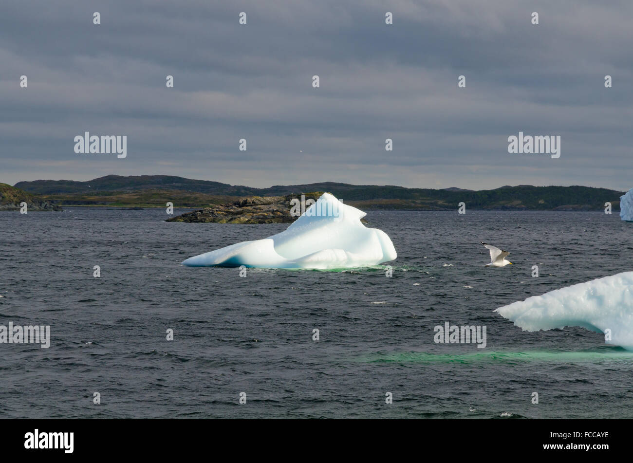 Bright white iceberg on dark water and rock background Stock Photo - Alamy