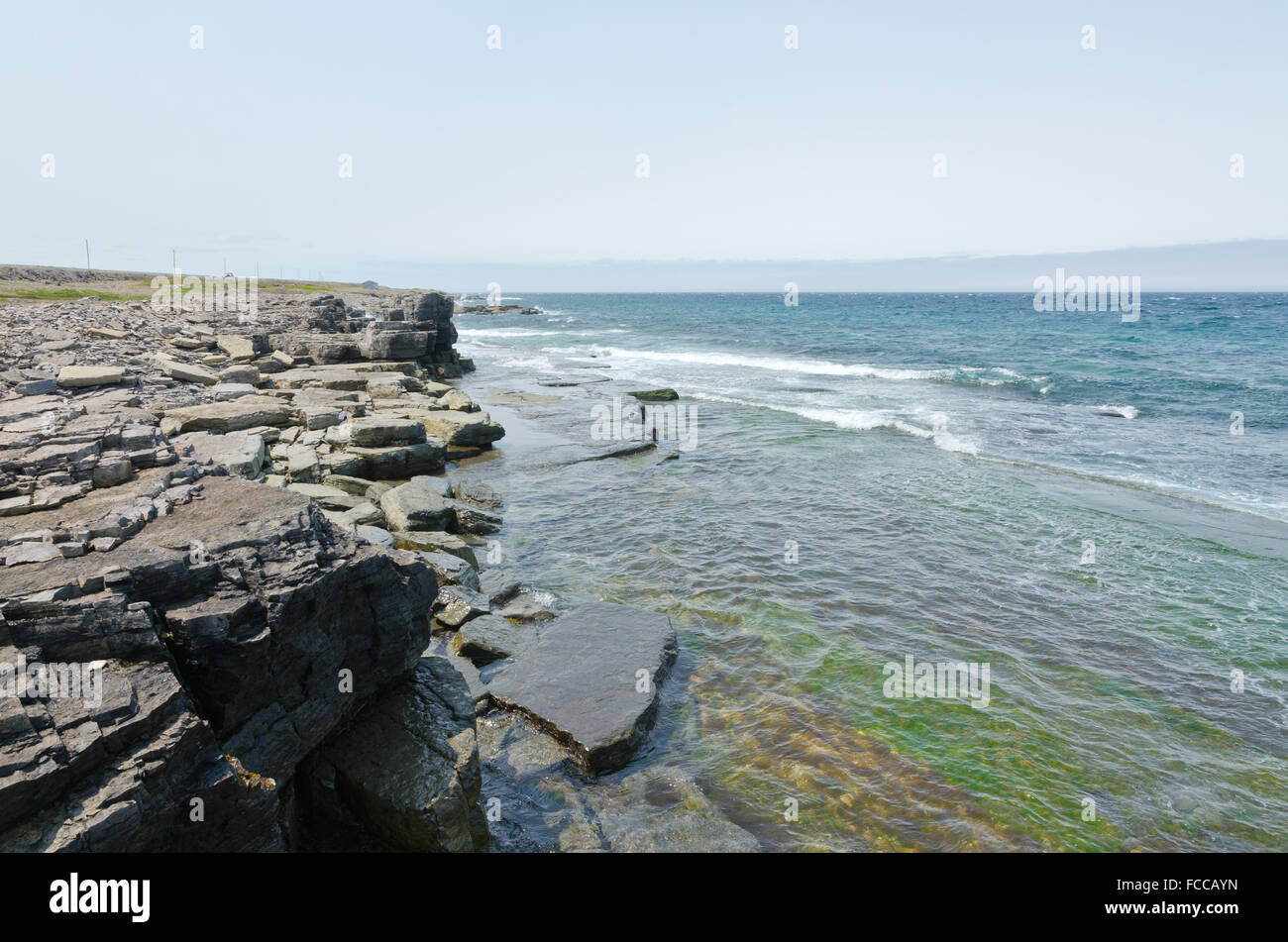 Newfoundland coast in summer time Stock Photo - Alamy