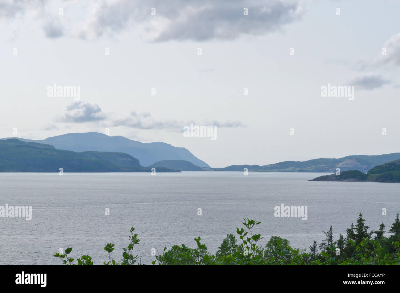 Newfoundland coast in summer time Stock Photo - Alamy