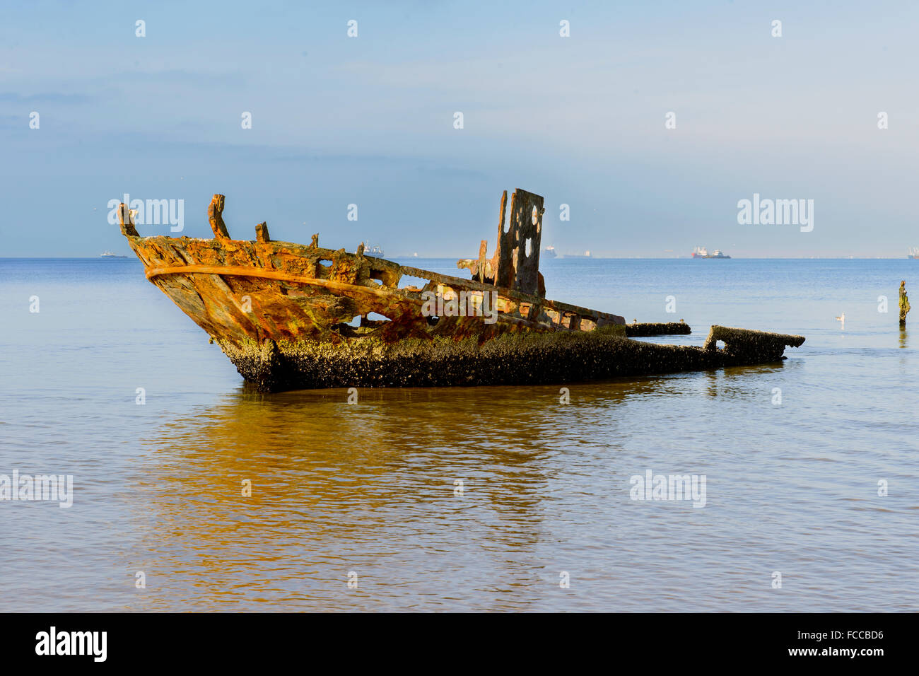 Ship skeleton hi-res stock photography and images - Alamy