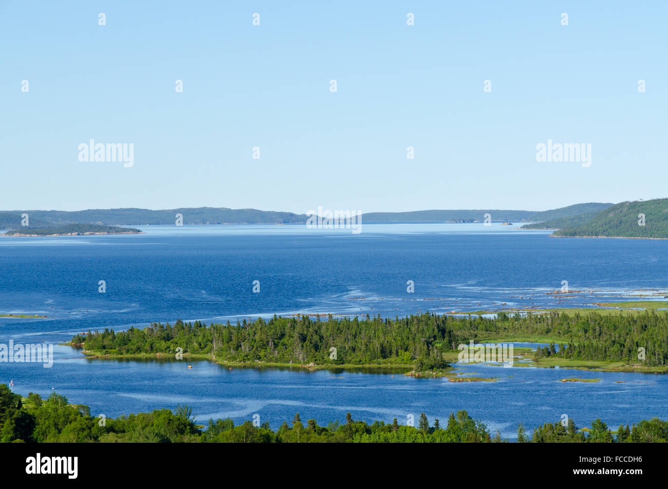 Trees newfoundland canada hi-res stock photography and images - Alamy