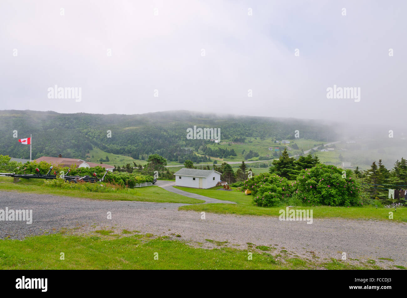 Fog newfoundland hi-res stock photography and images - Alamy