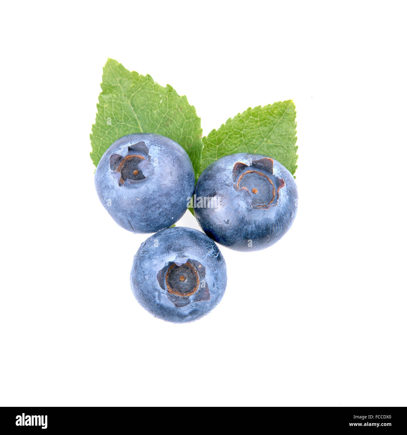 White background blueberries hi-res stock photography and images - Alamy