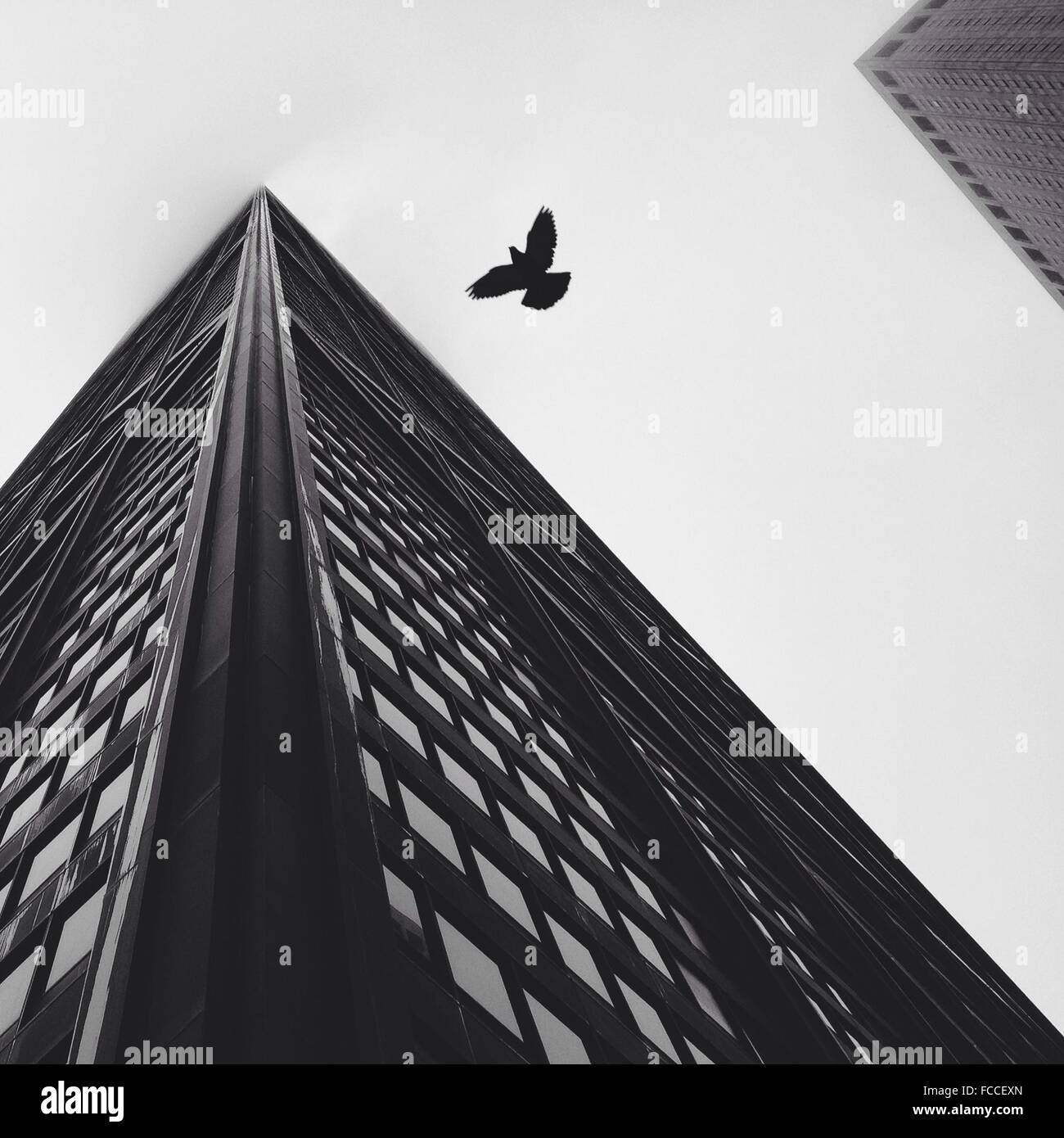 Skyscraper architecture wings hi-res stock photography and images - Alamy