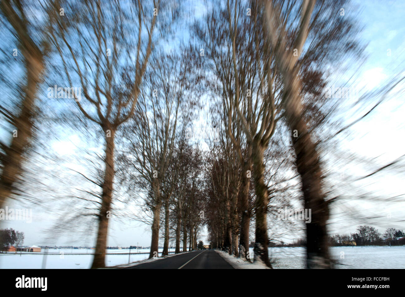 Trees in motion hi-res stock photography and images - Alamy