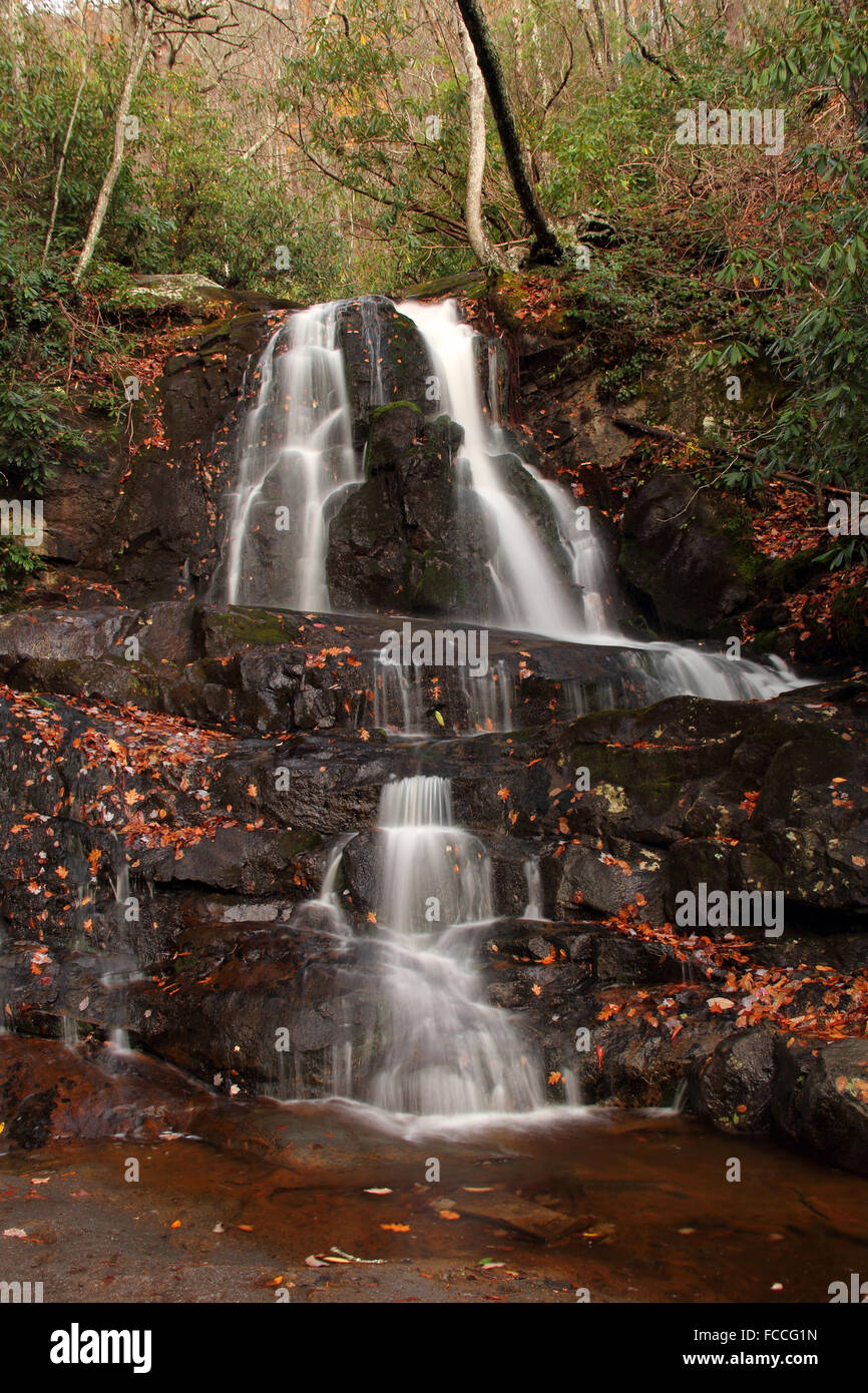 Laurel creek cascades hi-res stock photography and images - Alamy