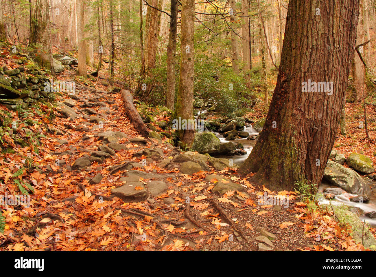 Rainbow falls trail hi-res stock photography and images - Alamy