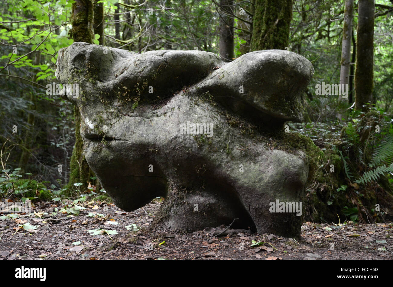 Eroded Boulder In Forest Stock Photo - Alamy