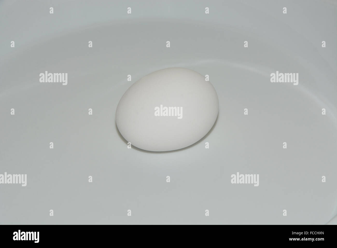 One raw uncooked white eggs on white plate Stock Photo - Alamy