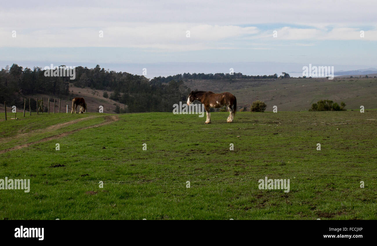 Country meadow hi-res stock photography and images - Alamy