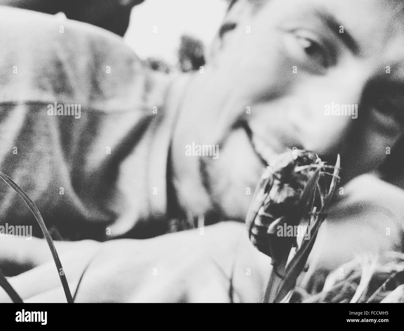 Bug portrait hi-res stock photography and images - Alamy