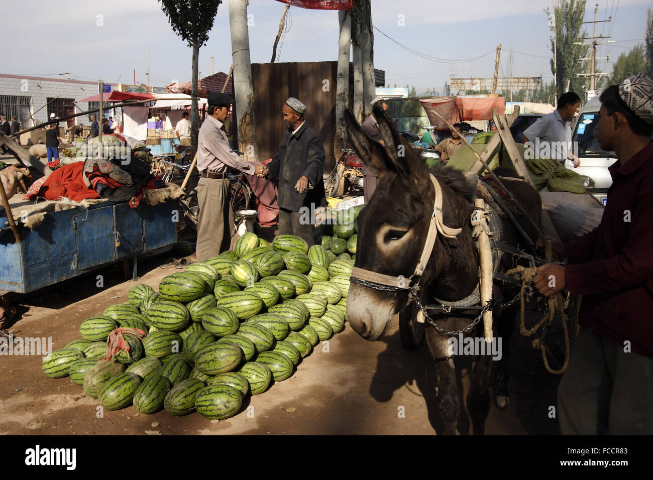 Uyghur men shaking hands after a deal done with watermelons at ...