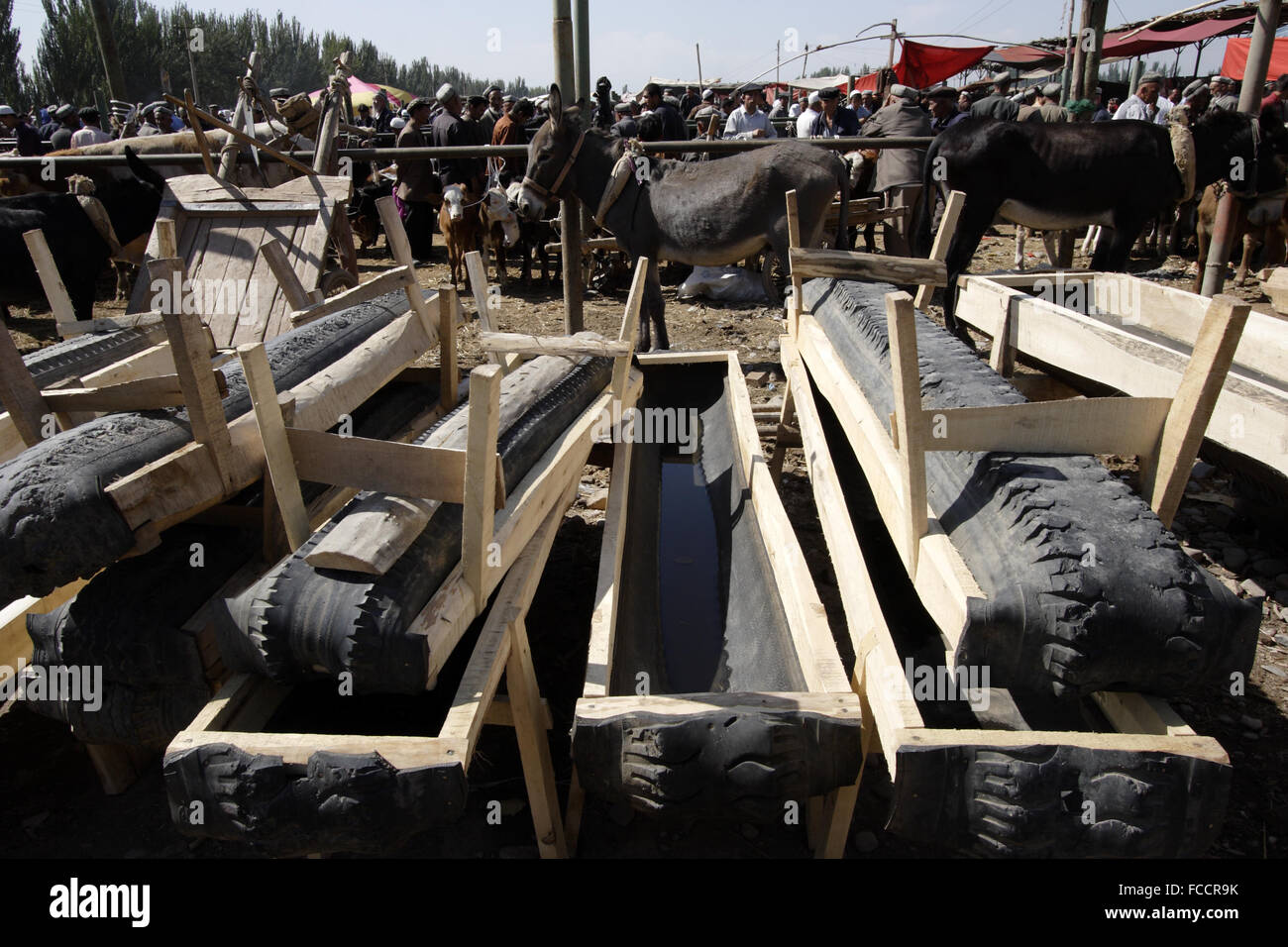 Livestock trading in sunday hi-res stock photography and images - Alamy