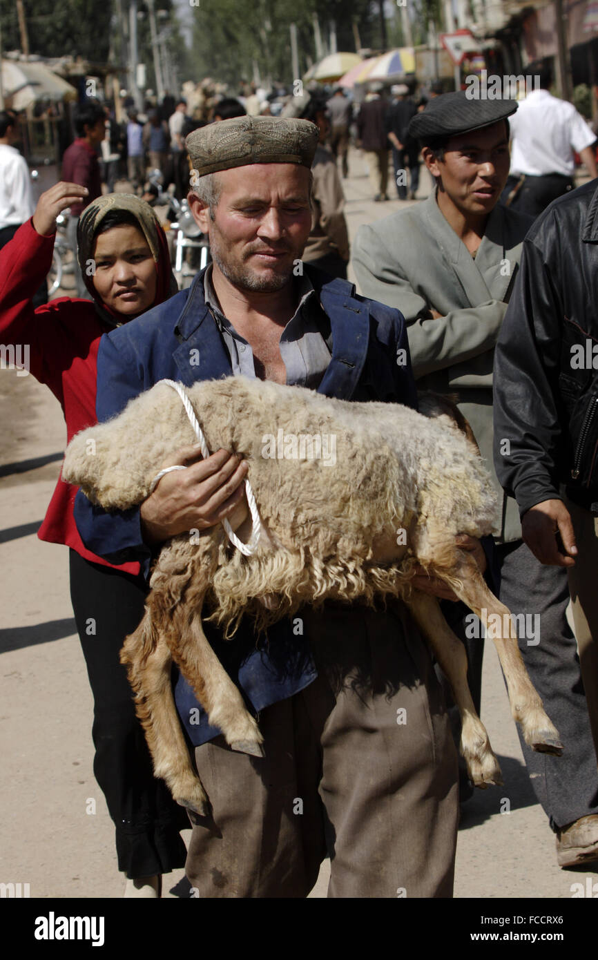Man carrying a sheep hi-res stock photography and images - Alamy