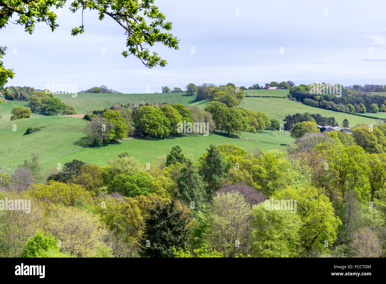 Surrey countryside hi-res stock photography and images - Alamy