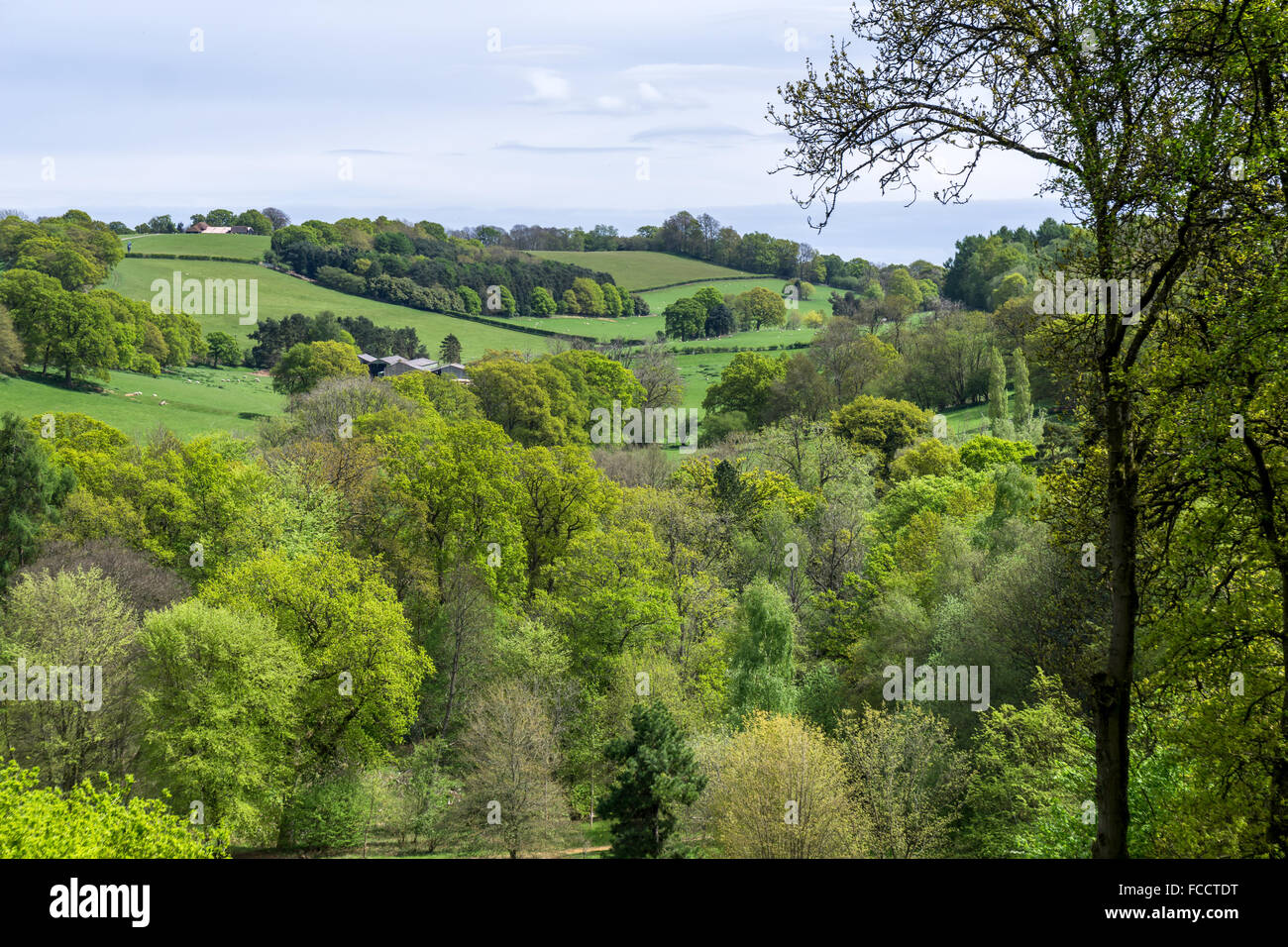 Surrey countryside hi-res stock photography and images - Alamy
