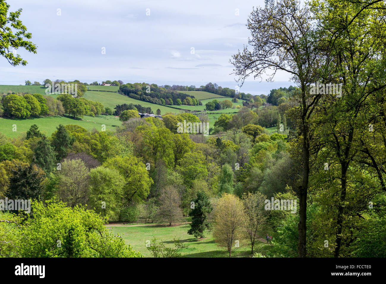 Surrey countryside hi-res stock photography and images - Alamy